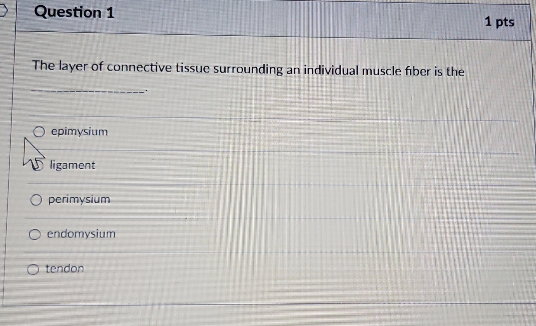 Solved Question 11 ptsThe layer of connective tissue | Chegg.com Solved Question 11 ptsThe layer of connective tissue | Chegg.com