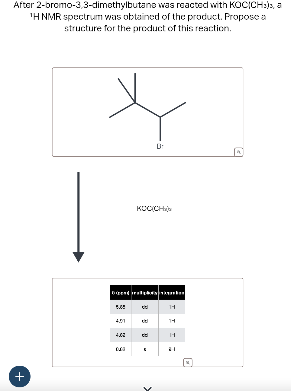 Solved After 2-bromo-3,3-dimethylbutane was reacted with | Chegg.com