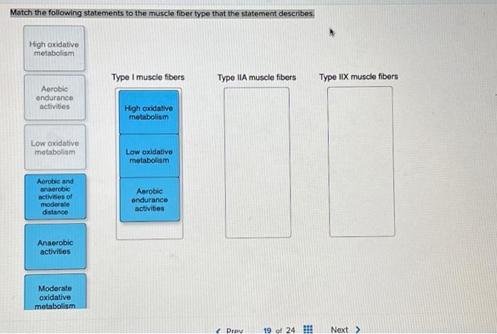 Solved Match the following statements to the muscle fiber | Chegg.com