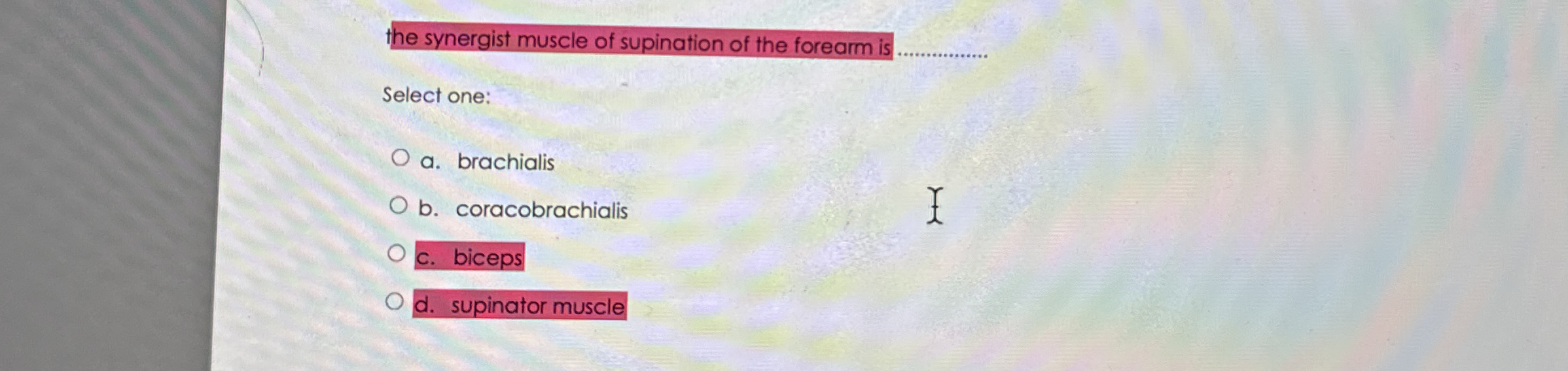 Solved the synergist muscle of supination of the forearm is | Chegg.com