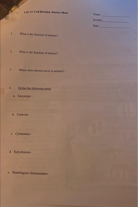 Solved D 1. 2. 3. 4. Lab 13: Cell Division Answer Sheet What | Chegg.com