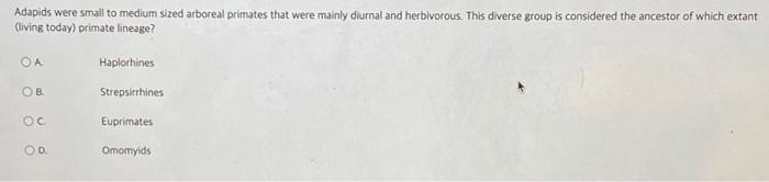 Solved Adapids were small to medium sized arboreal primates | Chegg.com