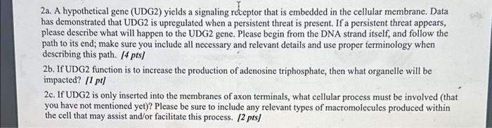 Solved 2a. A hypothetical gene (UDG2) yields a signaling | Chegg.com