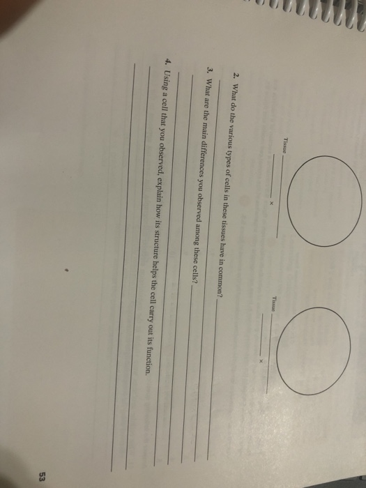 Solved emgeevend OCAQ PART C: Assessments Complete the | Chegg.com