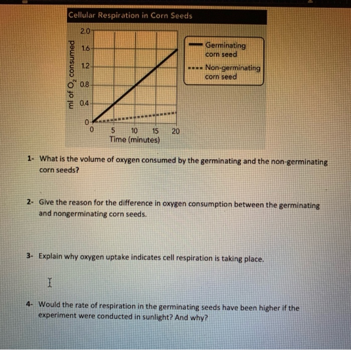 Solved Cellular Respiration in Corn Seeds 2.0 1.6 | Chegg.com