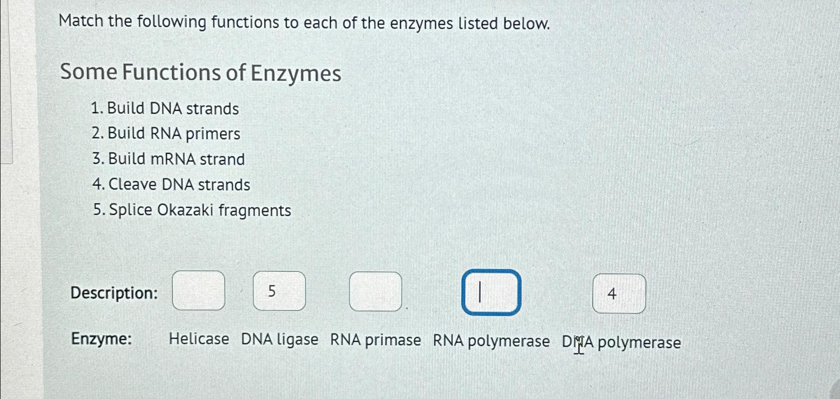 Solved Match the following functions to each of the enzymes | Chegg.com