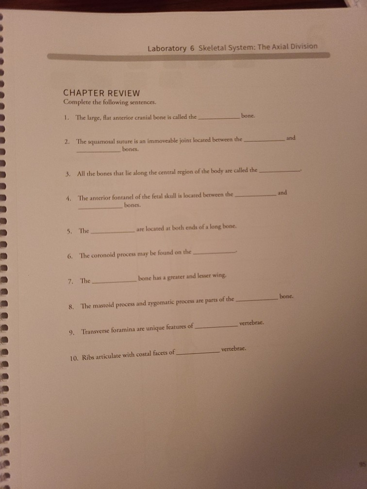Solved Laboratory 6 Skeletal System: The Axial Division | Chegg.com
