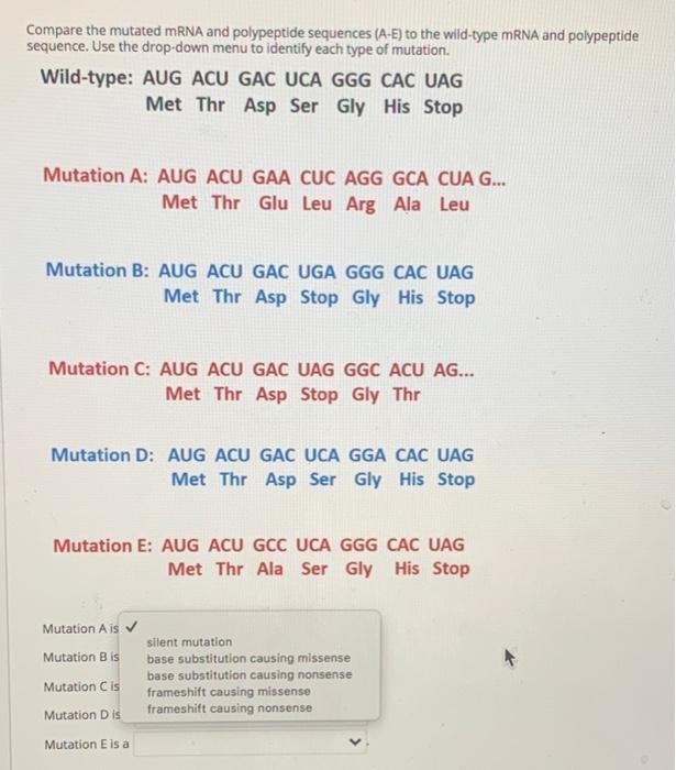 Solved Compare the mutated mRNA and polypeptide sequences | Chegg.com