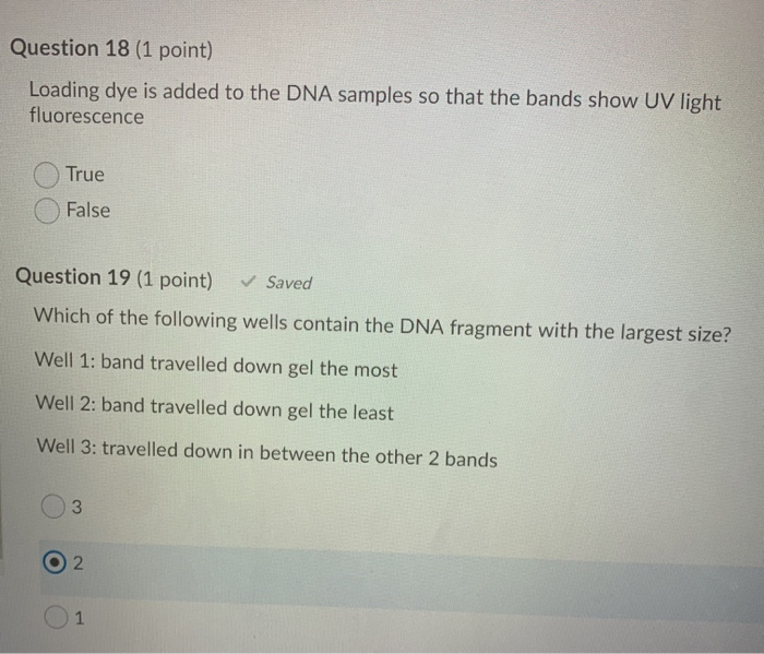 Solved Question 18 (1 point) Loading dye is added to the DNA | Chegg.com