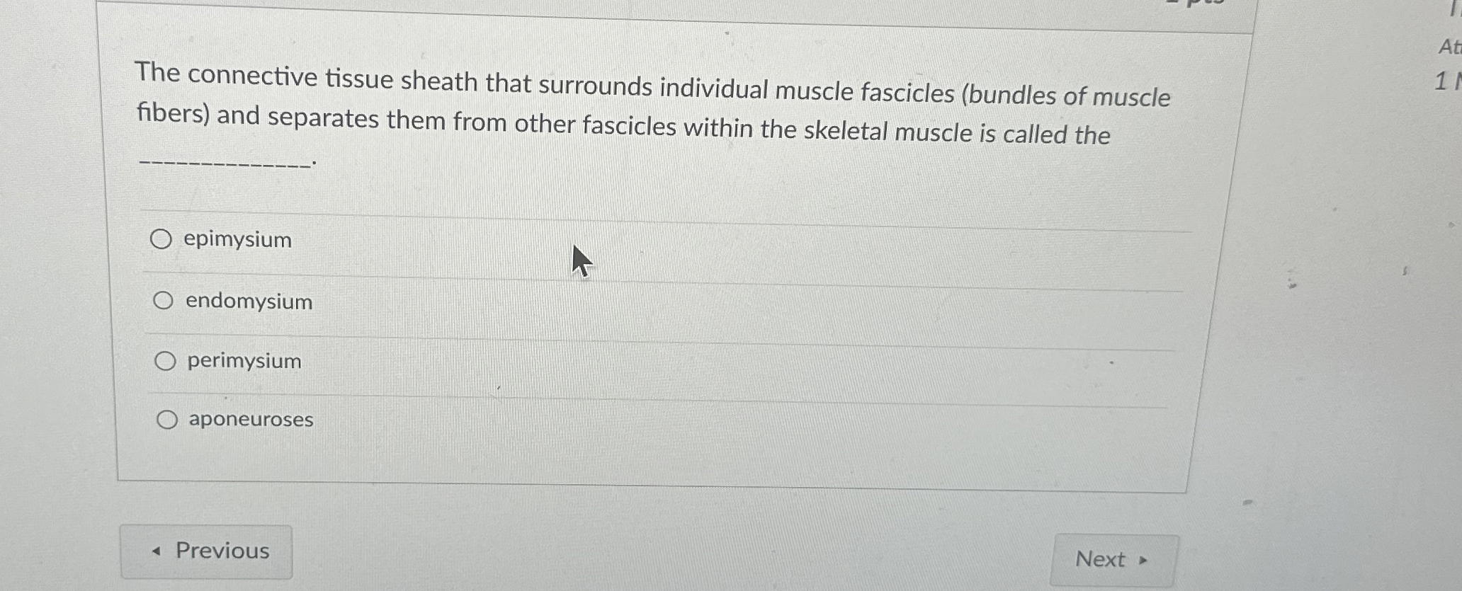 Solved The connective tissue sheath that surrounds | Chegg.com