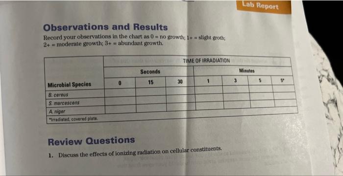 Observations and Results Record your observations in | Chegg.com