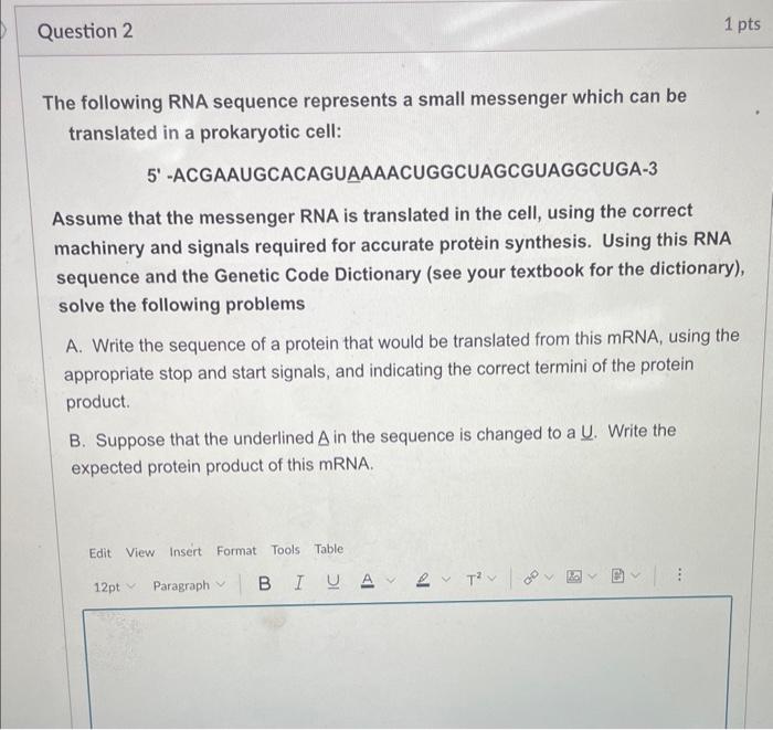 Solved The following RNA sequence represents a small | Chegg.com