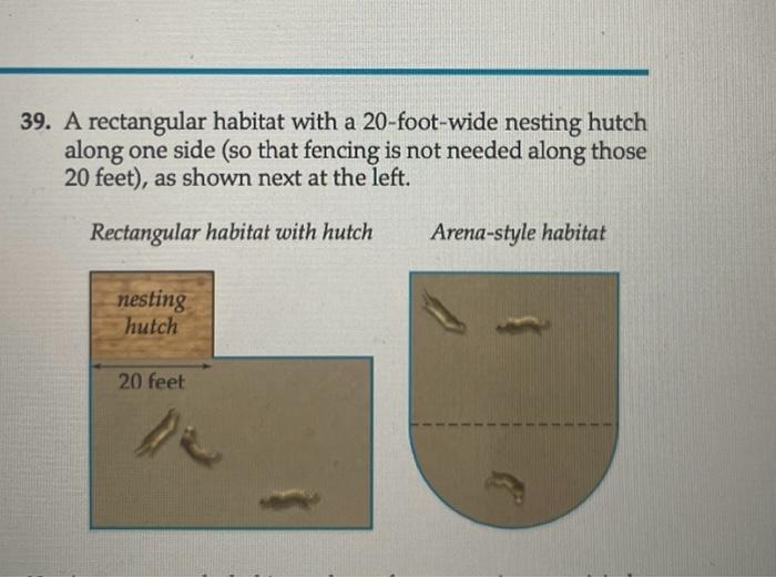 Solved You are in charge of constructing a zoo habitat for | Chegg.com