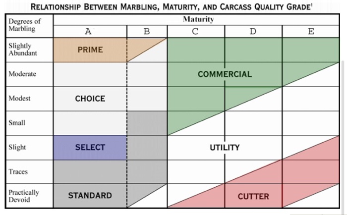 Matching: Use the following quality grades for beef | Chegg.com