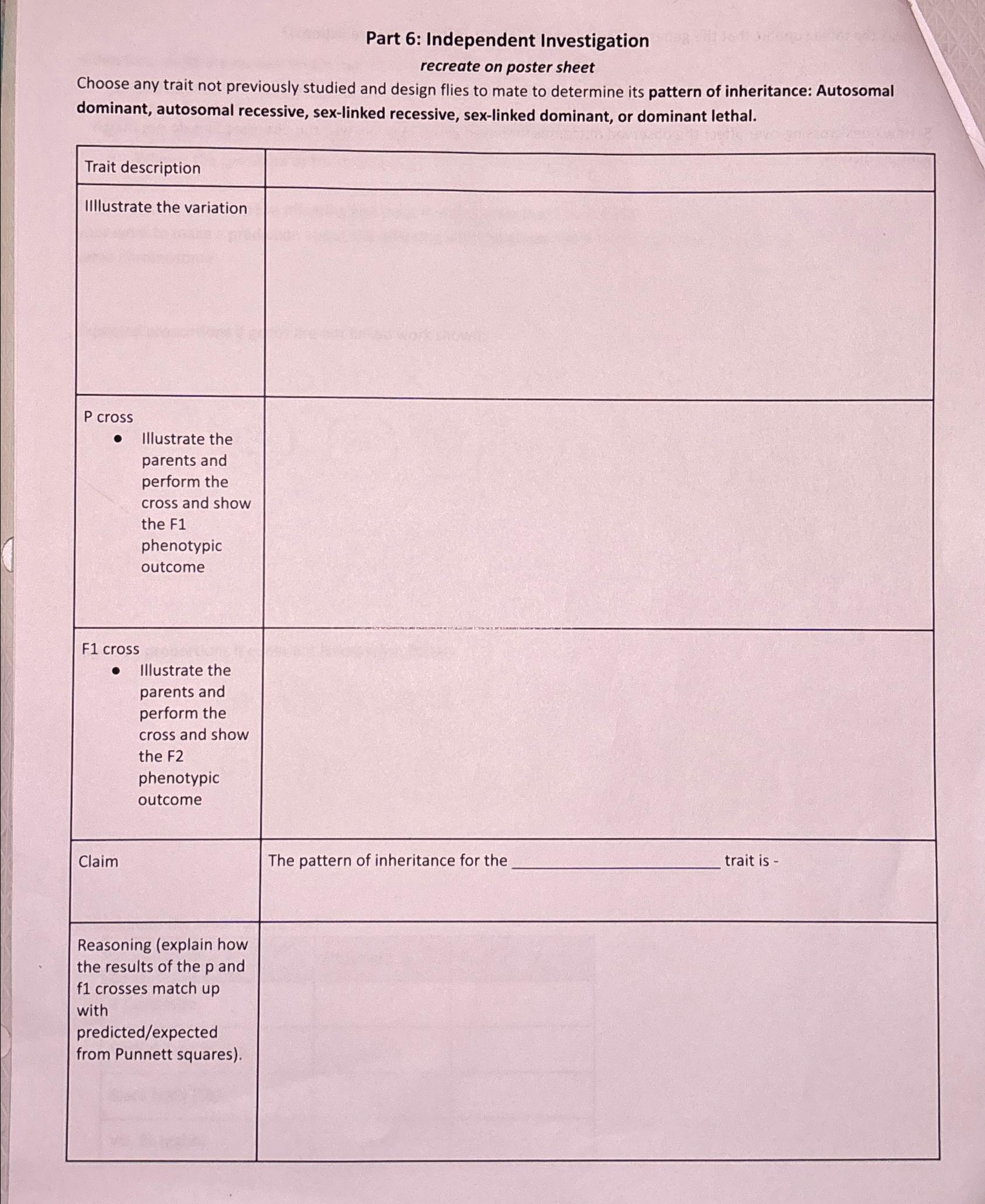Solved Part 6: Independent Investigation recreate on poster | Chegg.com