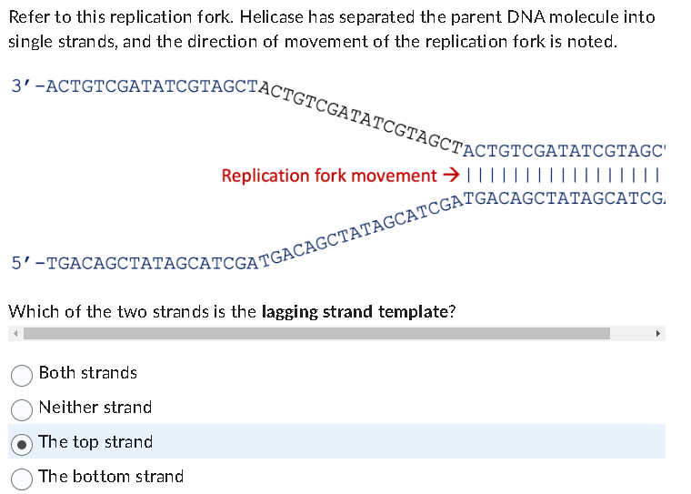 Solved Refer to this replication fork. Helicase has | Chegg.com