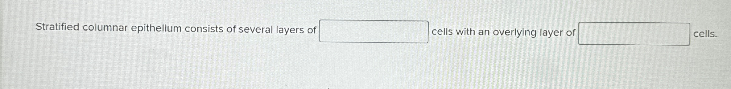 Solved Stratified columnar epithelium consists of several | Chegg.com