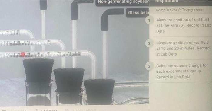 1 Measure position of red fluid at time zero (0). | Chegg.com