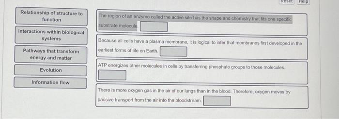 Solved The region of an enzyme called the active site fias | Chegg.com
