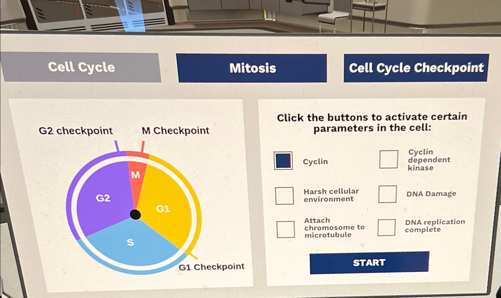 Solved Cell CycleMitosisCell Cycle CheckpointG2 ﻿checkpointM | Chegg.com