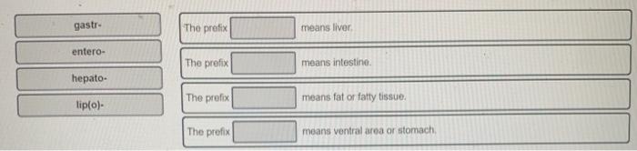 Solved gastr. The prefix means liver entero- The prefix | Chegg.com