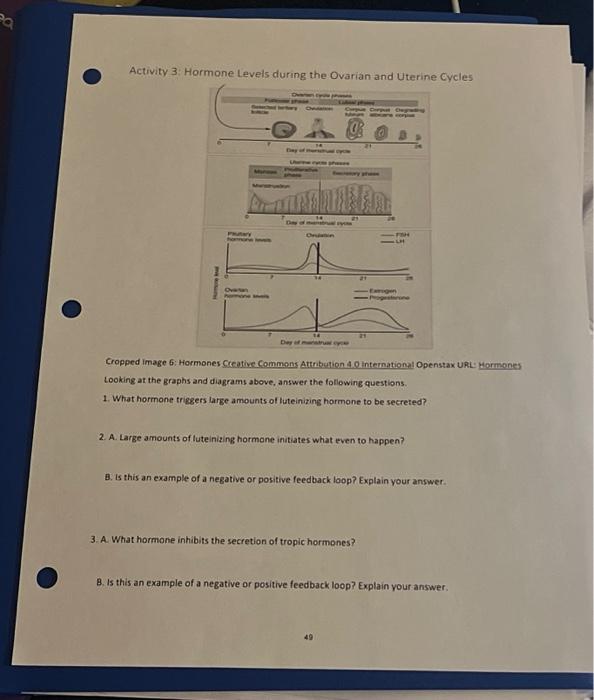 Solved Activity 3: Hormone Levels during the Ovarian and | Chegg.com