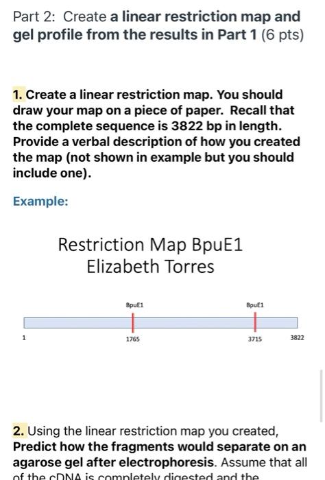 Part 1: Use online Restriction Mapper to create a | Chegg.com