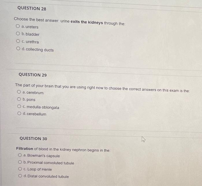 Solved Choose the best answer: urine exits the kidneys | Chegg.com