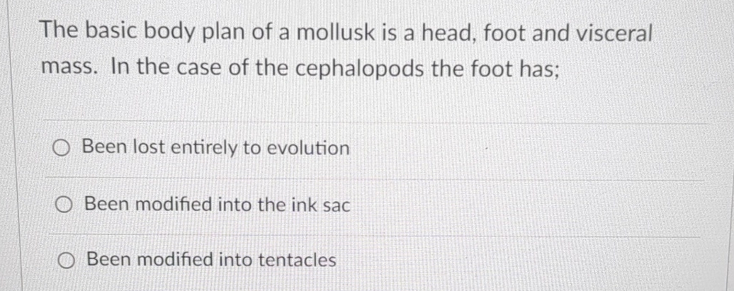 Solved The basic body plan of a mollusk is a head, foot and | Chegg.com