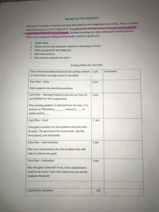 Nursing Care Plan Assignment Directions: Complete a | Chegg.com