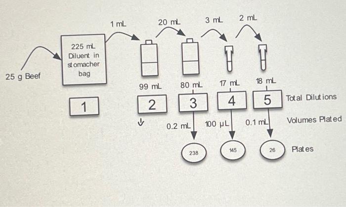 Solved Can I please have help with this dilution problem? I | Chegg.com