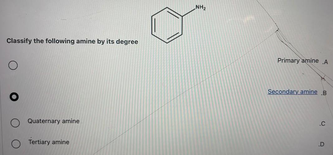 Solved Classify the following amine by its degree Primary | Chegg.com