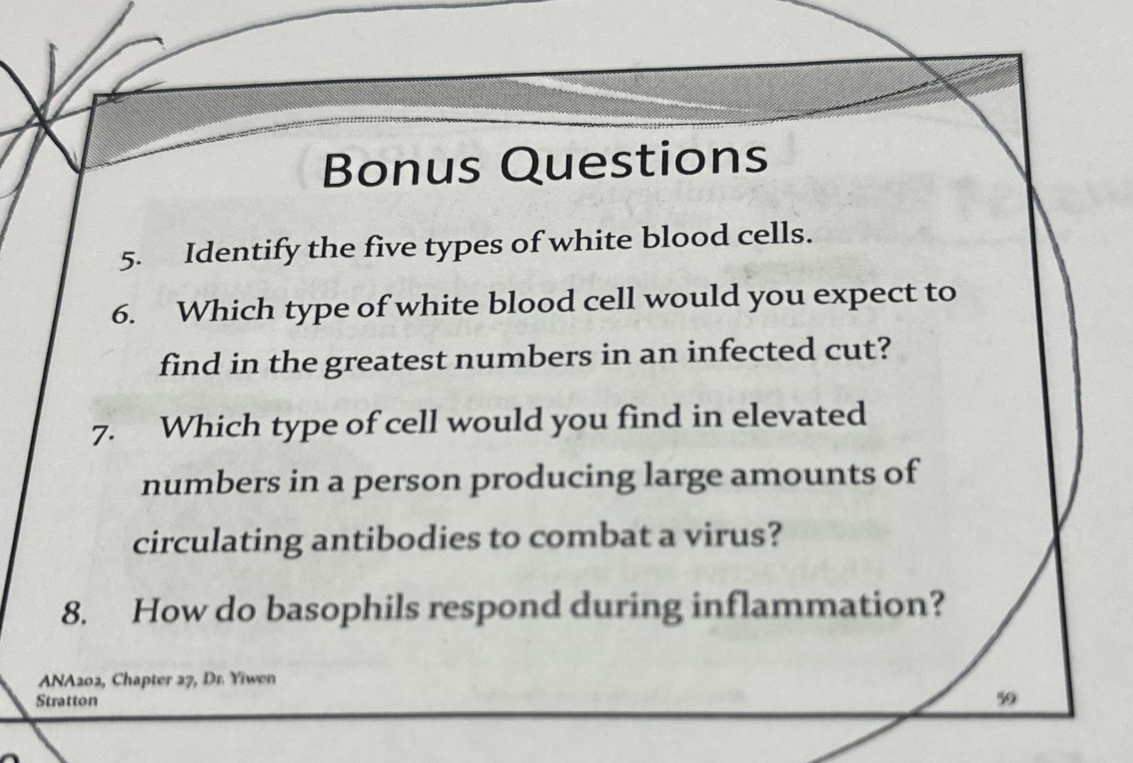 Solved Bonus Questions5. ﻿Identify the five types of white | Chegg.com