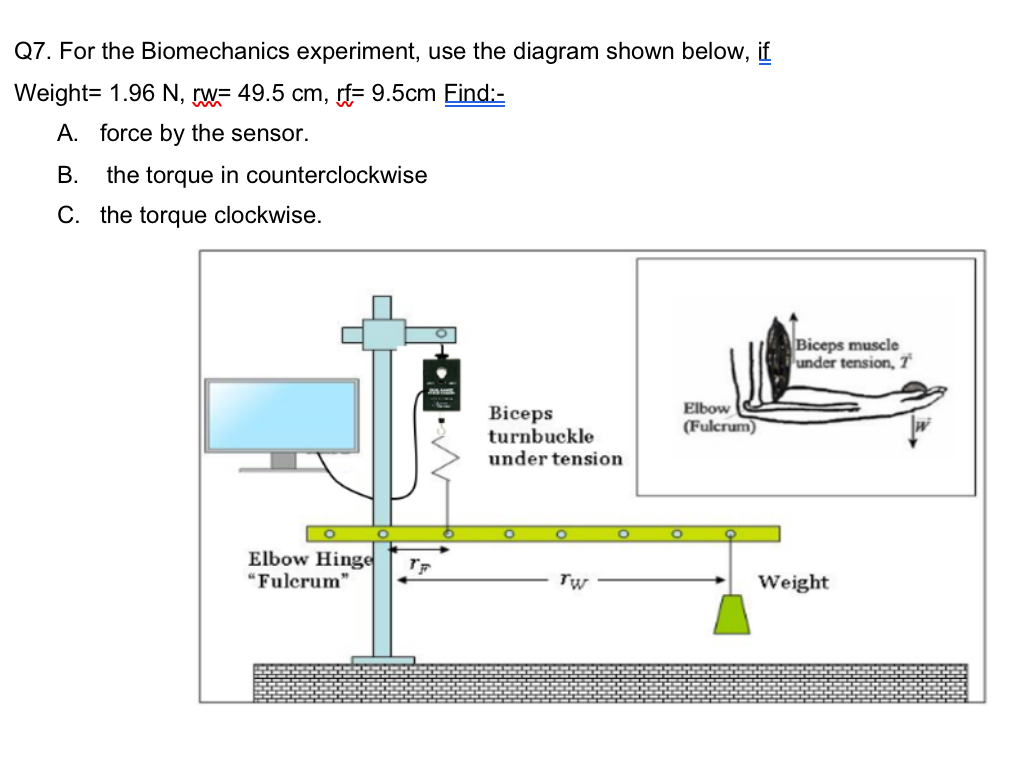 Solved Q7. ﻿For the Biomechanics experiment, use the diagram | Chegg.com
