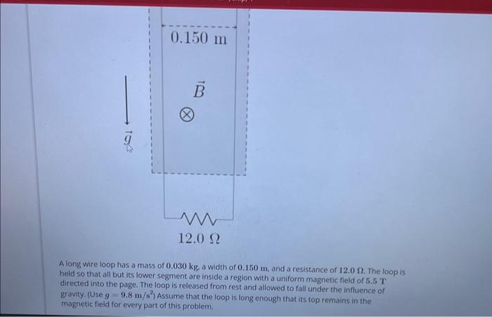 Solved A long wire loop has a mass of 0.030 kg, a width of | Chegg.com