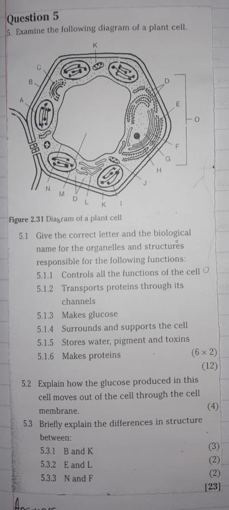 Solved Question 55. ﻿Examine the following diagram of a | Chegg.com