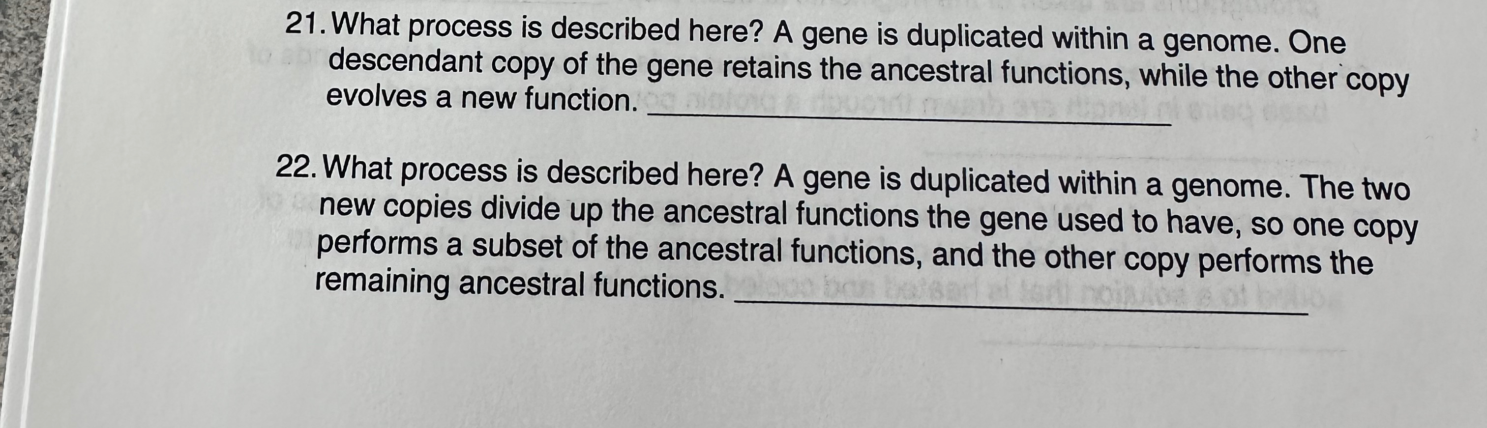 Solved What process is described here? A gene is duplicated | Chegg.com