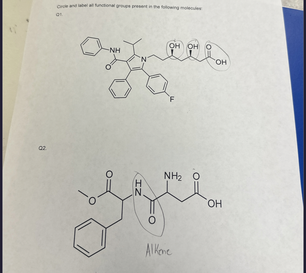 Solved Circle and label all functional groups present in the | Chegg.com