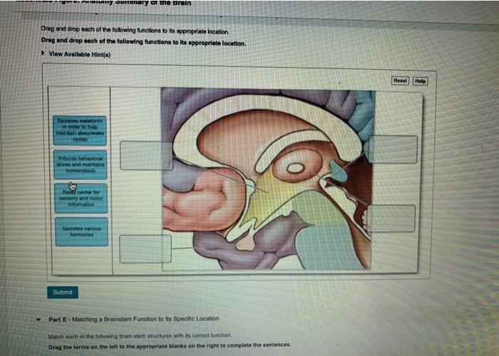 Solved Part A-Components of the central nervous system Which | Chegg.com