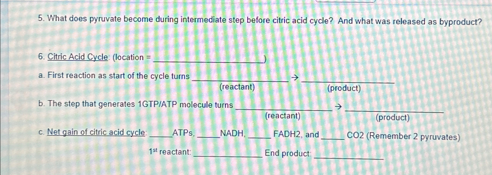 Solved What does pyruvate become during intermediate step | Chegg.com