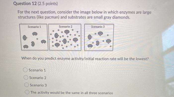 Solved Question 12 (2.5 points) For the next question, | Chegg.com