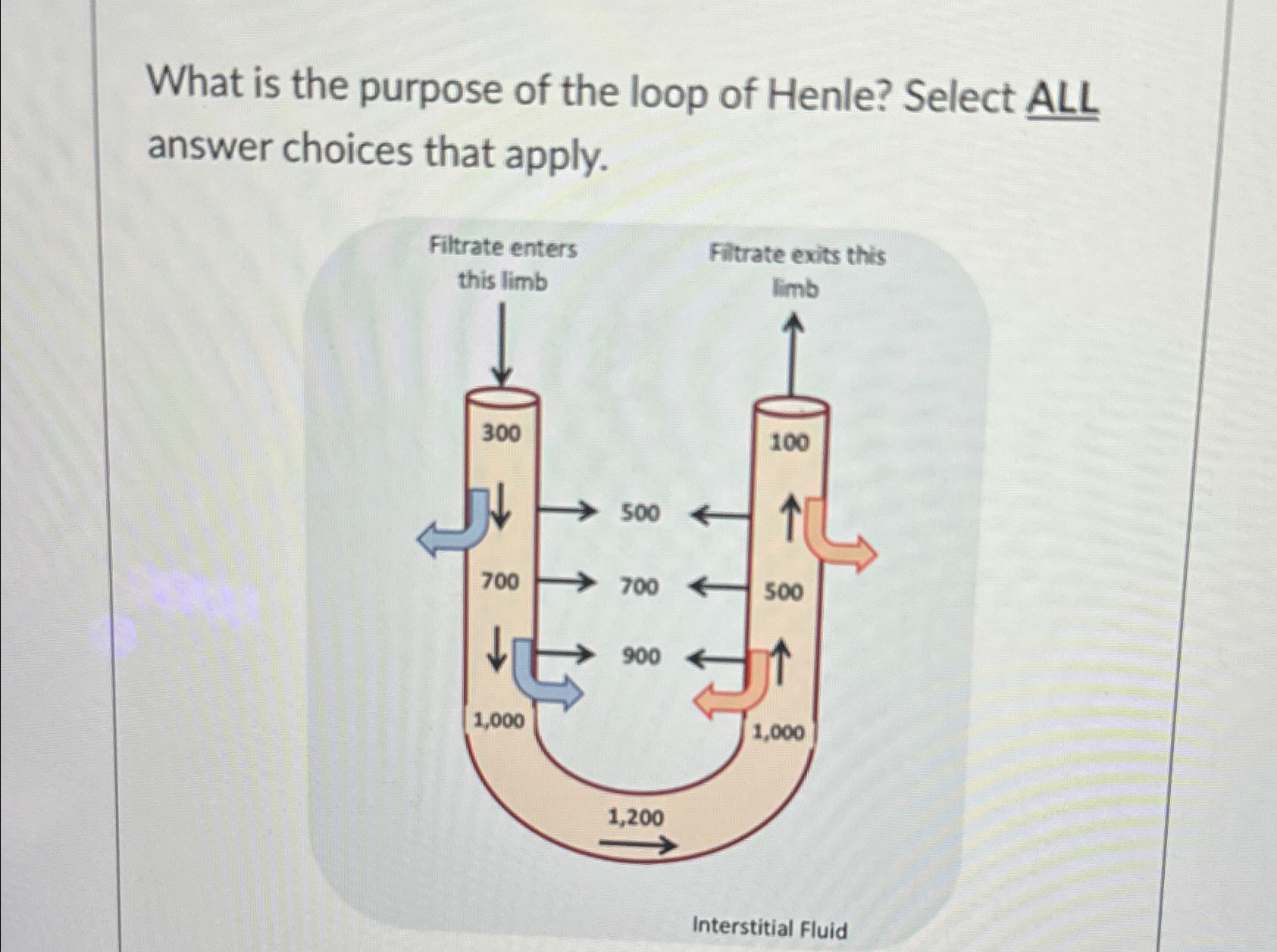 Solved What is the purpose of the loop of Henle? Select ALL | Chegg.com