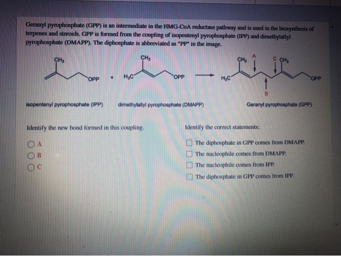 Solved Geranyl pyrophosphate (GPP) is an intermediate in the | Chegg.com