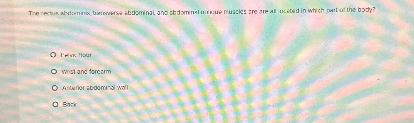 Solved The rectus abdominis, transverse abdominal, and | Chegg.com