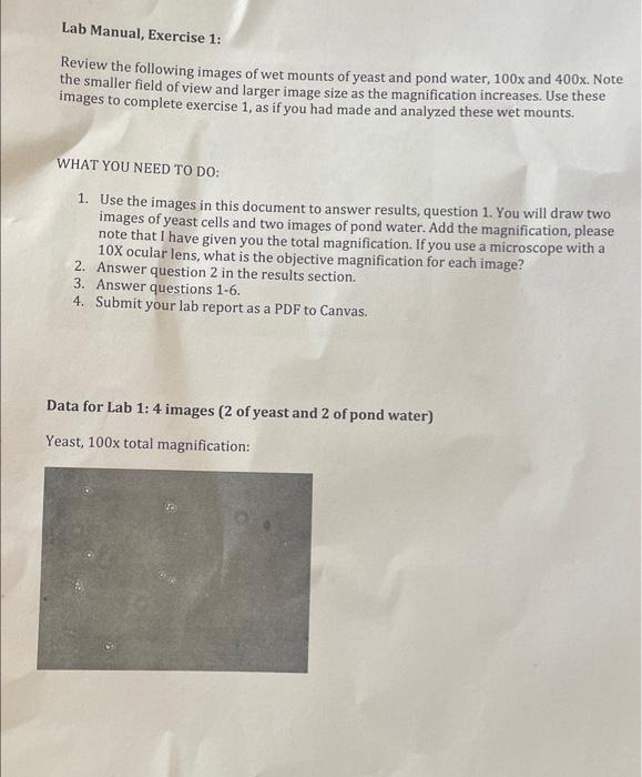 Lab Manual, Exercise 1: Review the following images | Chegg.com