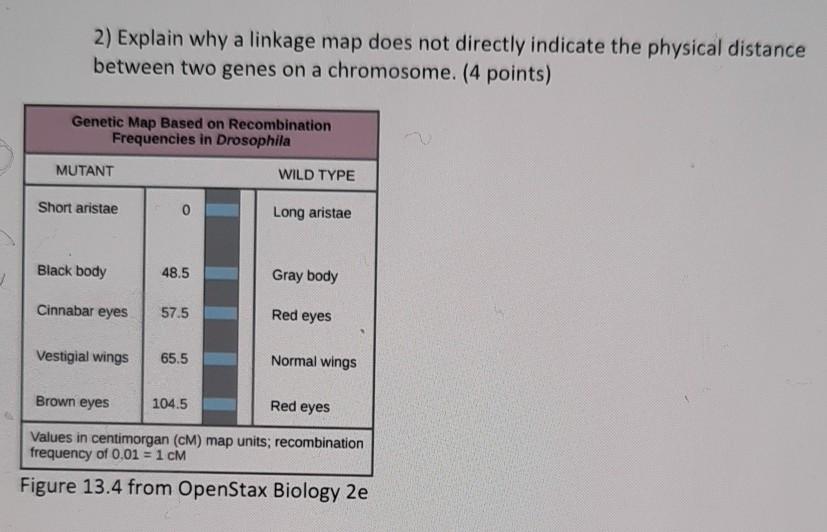 Solved 2) Explain why a linkage map does not directly | Chegg.com