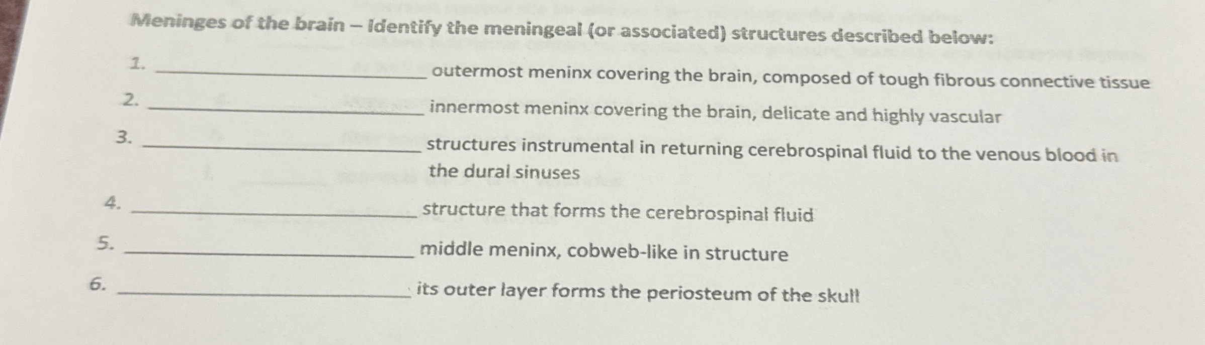 Solved Meninges of the brain - ﻿fdentify the meningeal (or | Chegg.com