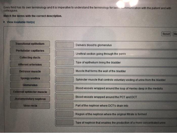 Solved Every field has its own terminology and it is | Chegg.com