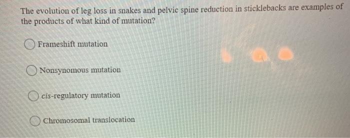 Solved The evolution of leg loss in snakes and pelvic spine | Chegg.com