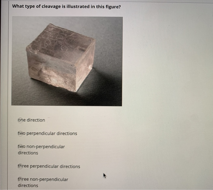 Solved What type of rock is shown in this photograph? | Chegg.com